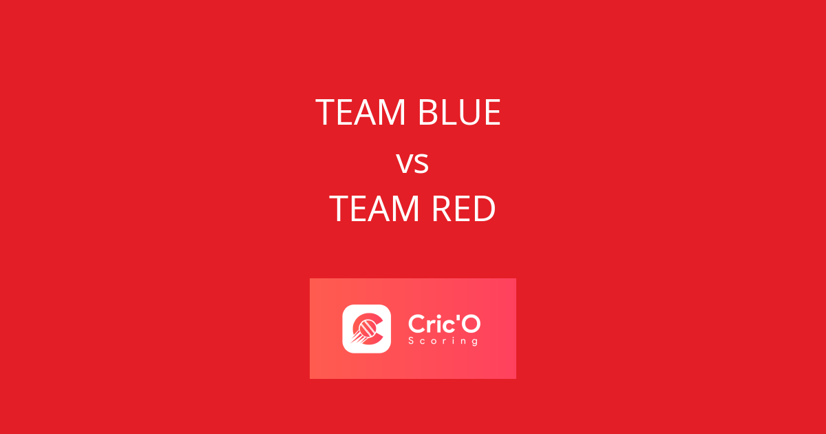 TEAM BLUE vs TEAM RED